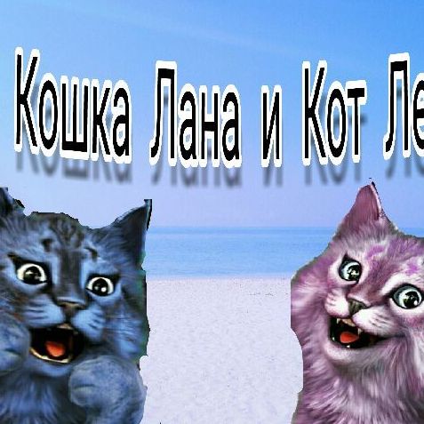 Featured | Кошка Лана И Кот Лео😺 Amino