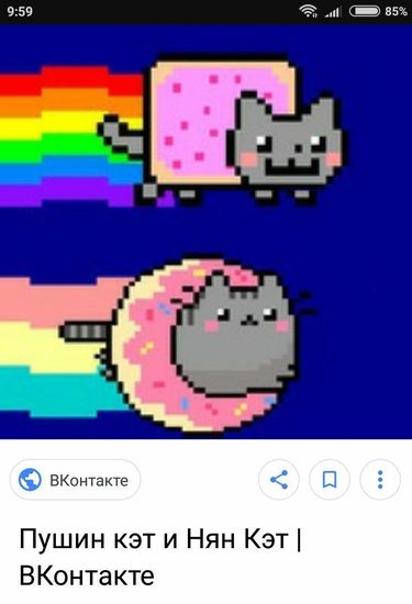 Latest | Ням Кэт Amino