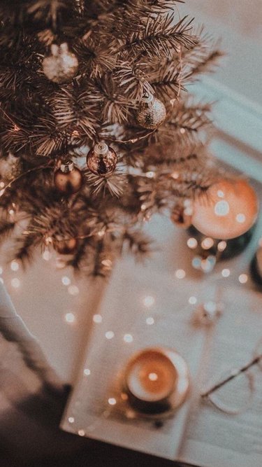 Шестерка Воронов | Wiki | Ли Бардуго | Гришаверс Amino